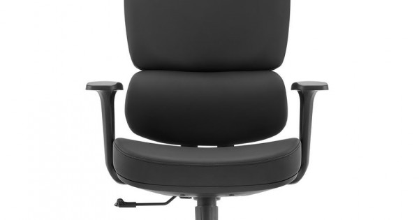 Bionic Ergonomic BIFMA Office Chair | High-back orthopedic Office Chair